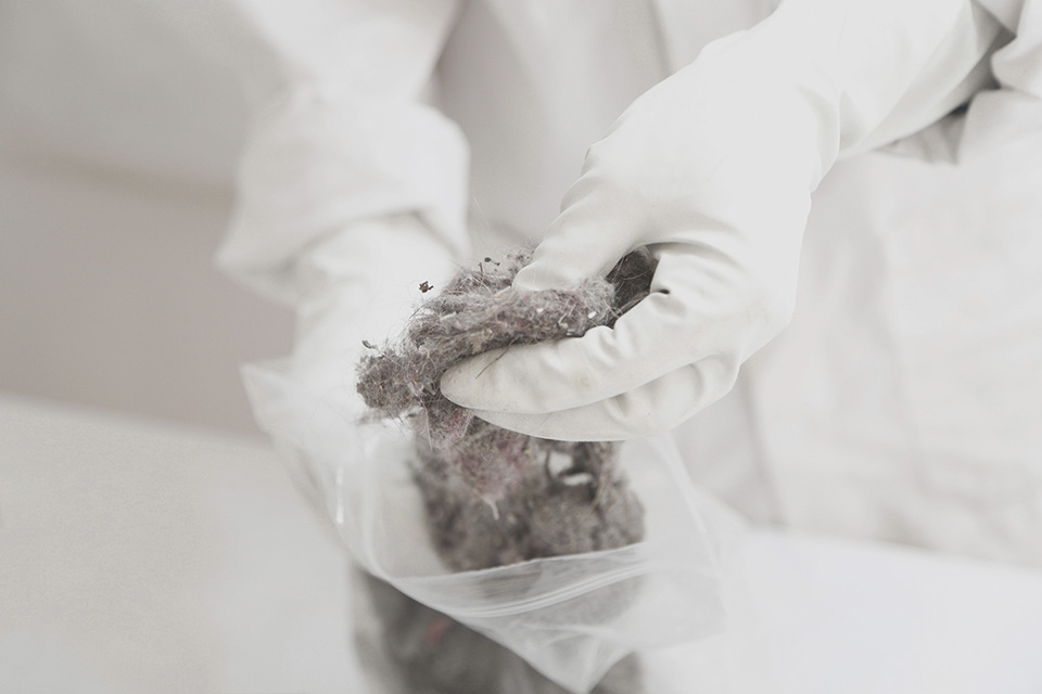 DUST MATTER(s)? 3 - MaterialDistrict