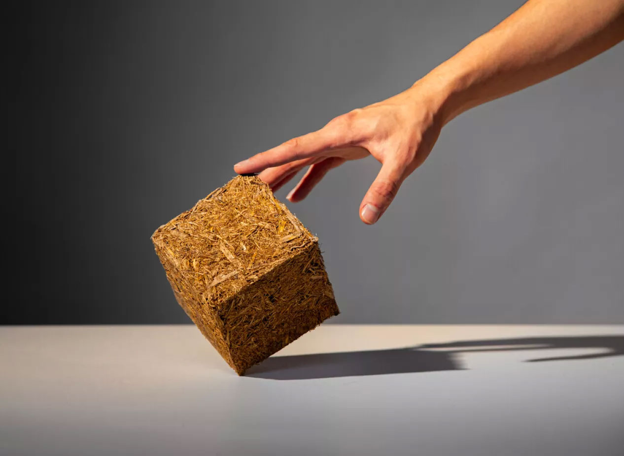 Sugarcrete School Project Demonstrates Potential for Low-Carbon Housing ...