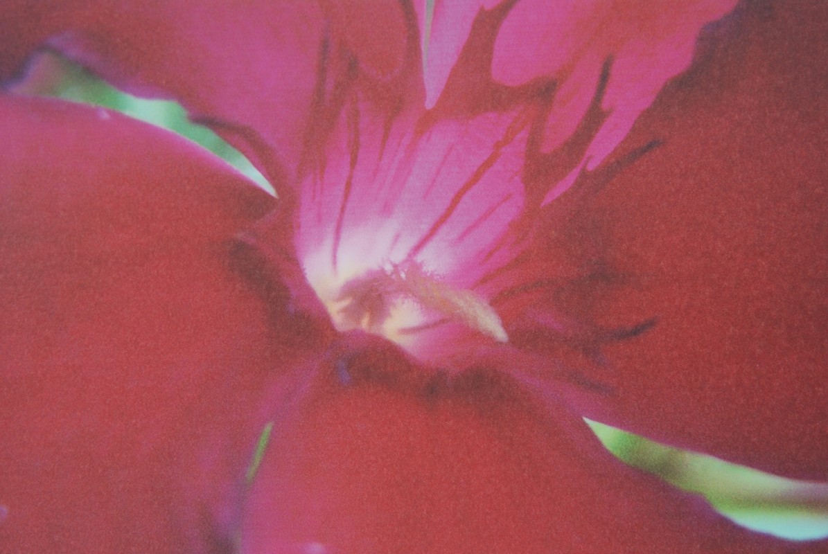 PLA220-1 - MaterialDistrict