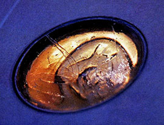 CON059-2 - MaterialDistrict