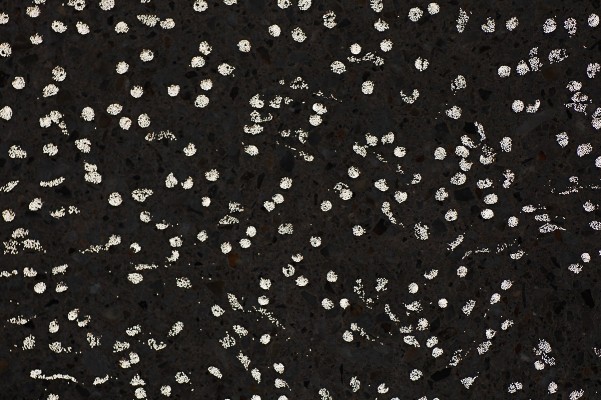 LiTraCon - MaterialDistrict