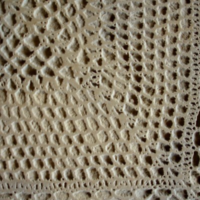 Boiled Wood - MaterialDistrict