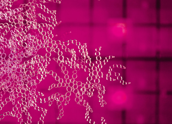 Koziol - MaterialDistrict