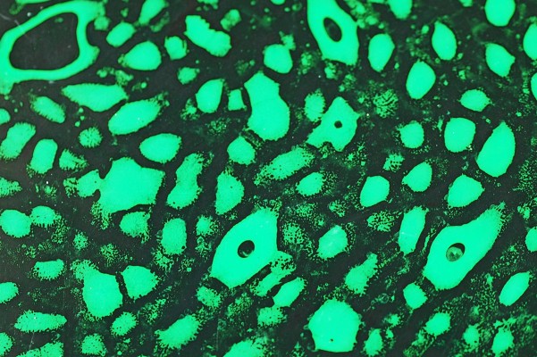 Special FX Paints - MaterialDistrict