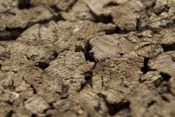 Expanded Cork Isolation - MaterialDistrict