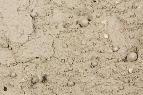 MSD Panels - MaterialDistrict