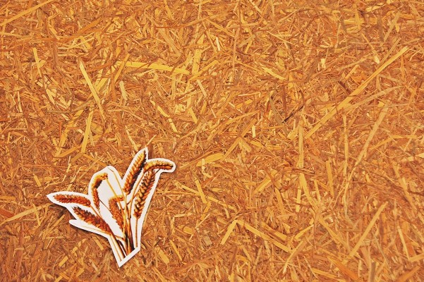 Straw Board - MaterialDistrict