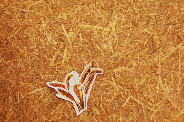 Straw Board - MaterialDistrict