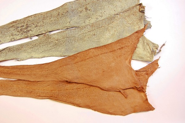 Cod Leather - MaterialDistrict