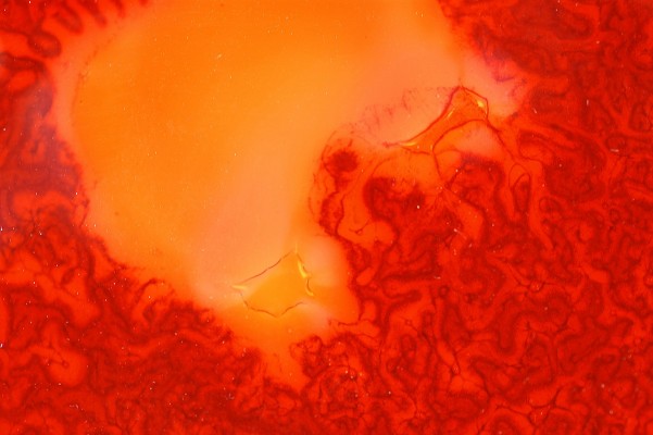 Deep Sea - MaterialDistrict