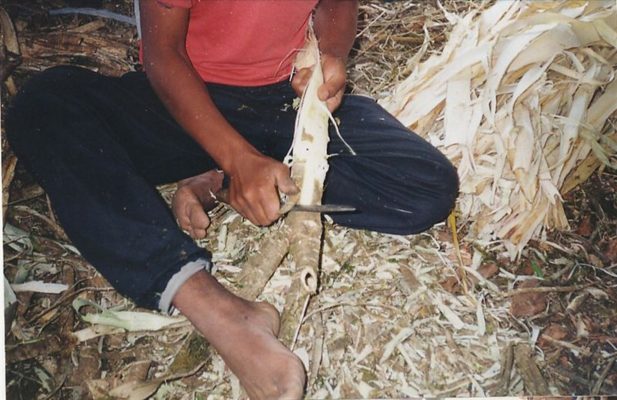 Tree Free Paper - MaterialDistrict