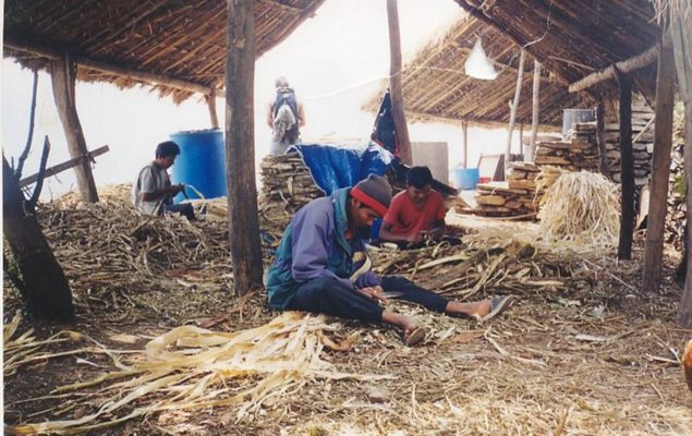 Tree Free Paper - MaterialDistrict