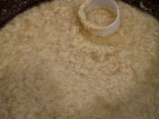 Tree Free Paper - MaterialDistrict