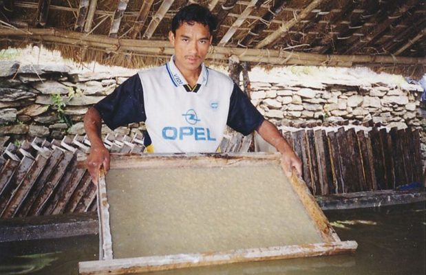 Tree Free Paper - MaterialDistrict