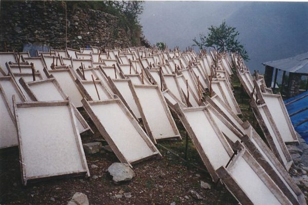 Tree Free Paper - MaterialDistrict