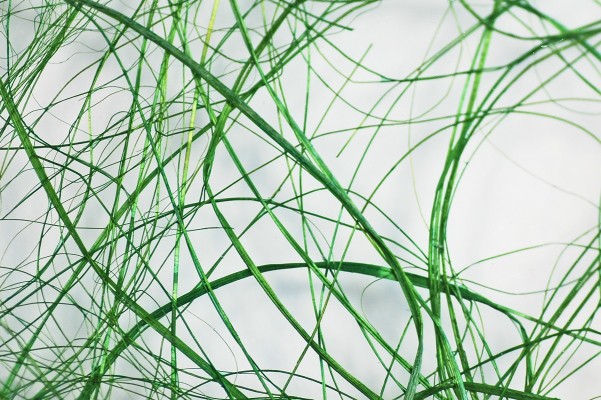 Grass & Leaves - MaterialDistrict