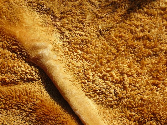 Rumen - MaterialDistrict