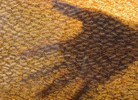 Perltec Colibri - MaterialDistrict