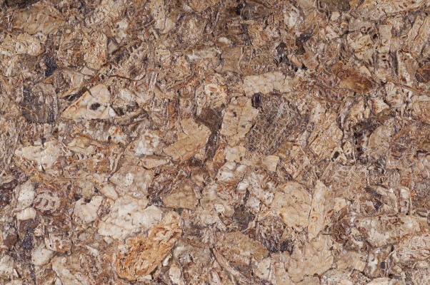 Kokoboard Peanut Shell - MaterialDistrict