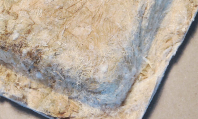 New textile grows from mushrooms - MaterialDistrict