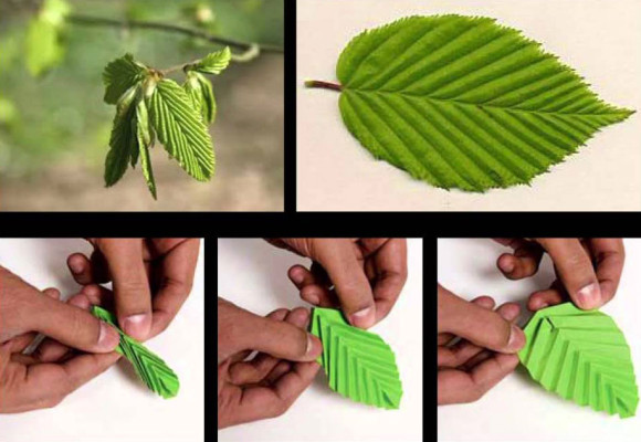 Nature is a design tool - MaterialDistrict