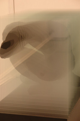 3D glass sculptures - MaterialDistrict