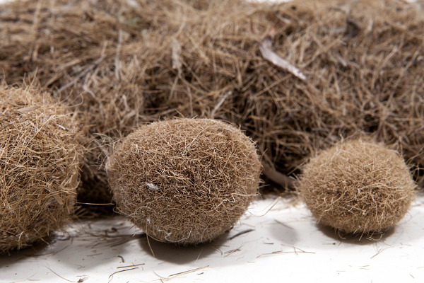 NeptuTherm - MaterialDistrict