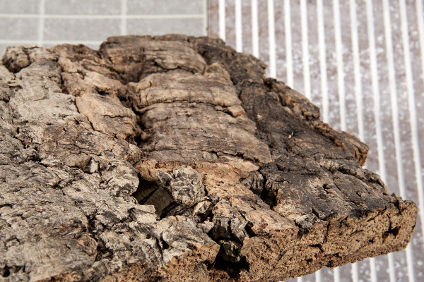 Cork - MaterialDistrict