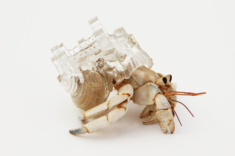 Beautiful 3D Printed Hermit Crab Shells 1 - MaterialDistrict Beautiful 3D Printed Hermit Crab Shells 1 - MaterialDistrict