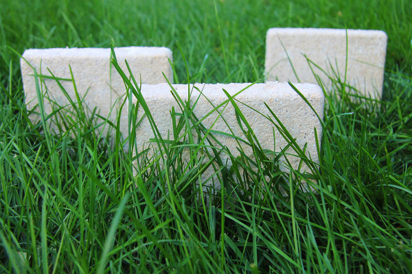 Grow Your Own Mushroom-Based Design Materials - MaterialDistrict