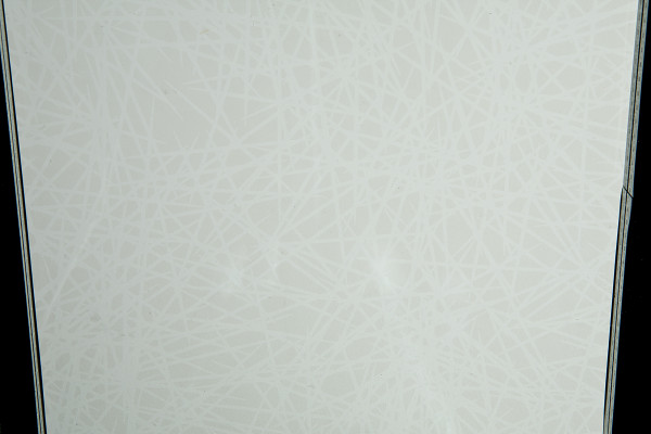 Ornilux Bird Protection Glass - MaterialDistrict