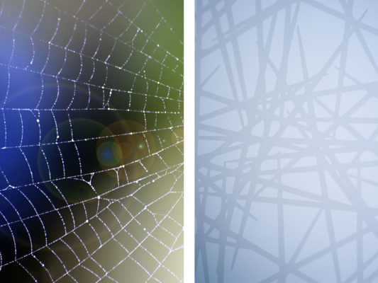 Ornilux Bird Protection Glass - MaterialDistrict