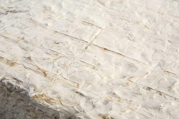 Mushroom Materials - MaterialDistrict