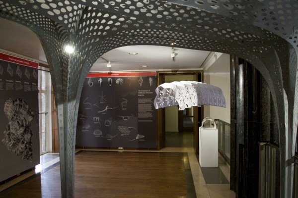Shell Lace Structure by Tonkin Liu - MaterialDistrict