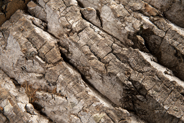 Bark - MaterialDistrict