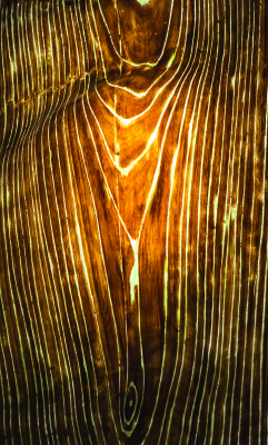 Interactive Wood by Johannes Wöhrlin at MX2016 - MaterialDistrict