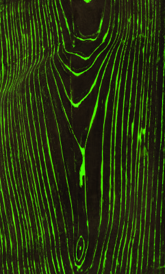 Interactive Wood by Johannes Wöhrlin at MX2016 - MaterialDistrict