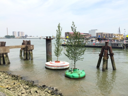 A Floating Forest for Rotterdam - MaterialDistrict