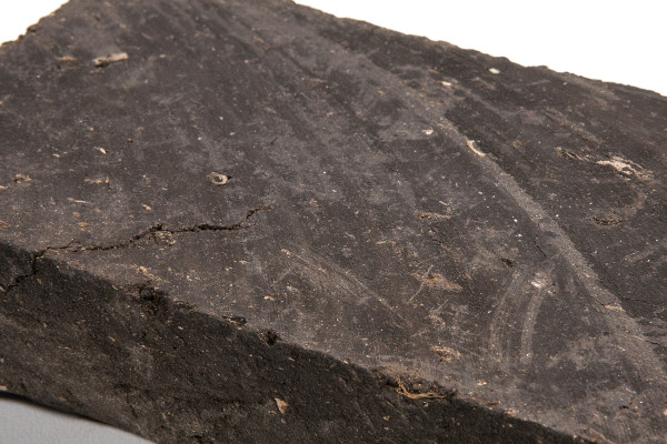 Bioblocks - MaterialDistrict