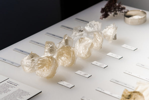 Agar Plasticity: The Exciting Potential of Seaweed-based Packaging ...