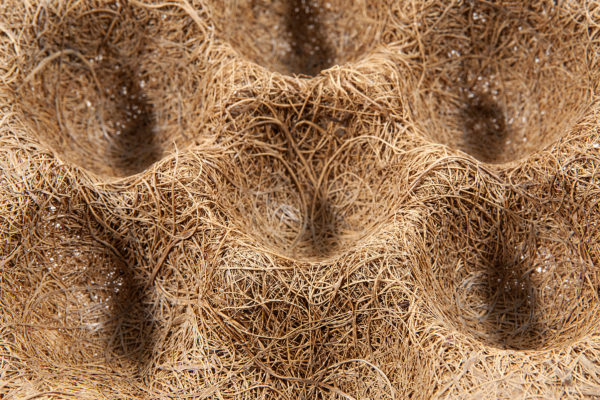 Cocoform - MaterialDistrict