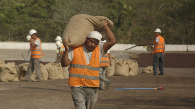 Coffee Flour: Turning Waste Into A New Superfood - MaterialDistrict