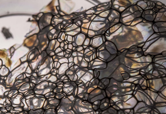 Bombix Bricks: Building with liquid silk - MaterialDistrict