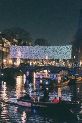 Artwork Lightwaves based on bioluminescent organisms - MaterialDistrict
