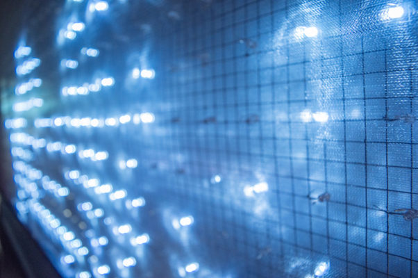 Artwork Lightwaves based on bioluminescent organisms - MaterialDistrict