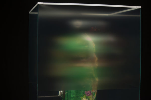 WINCOS Vision Control Film - MaterialDistrict