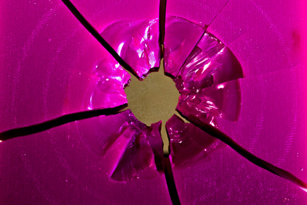 Recreating the structure of a conch shell by 3D printing on World ...