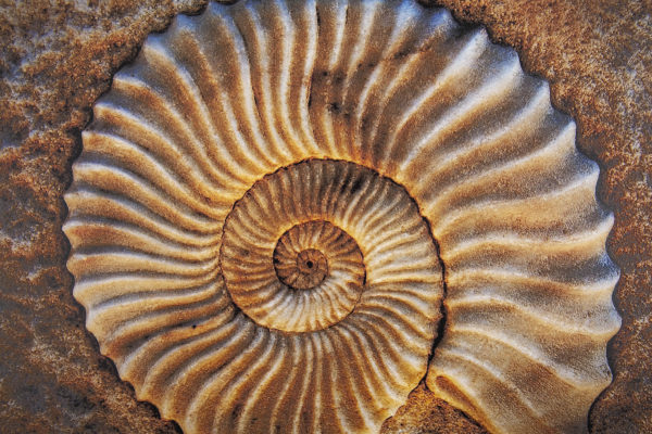 Haptic 2.5D printing - MaterialDistrict