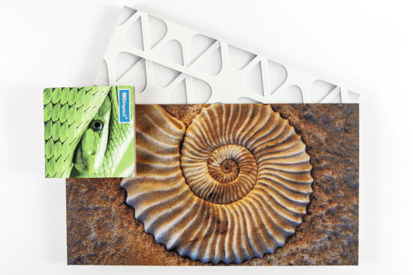 Haptic 2.5D printing - MaterialDistrict