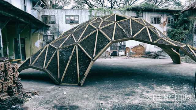 Shell Mycelium: using mycelium to build and destroy constructions ...